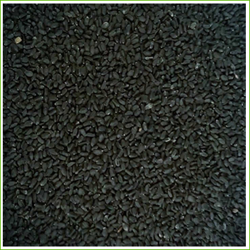 Basil, Red Nina (organic) 100g, 226g, 500g – Sprout Master