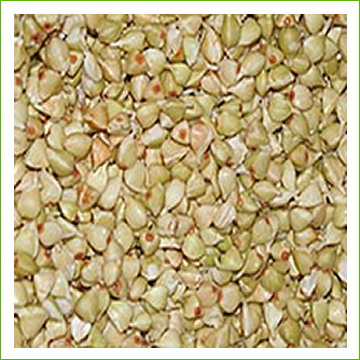 Buckwheat Sprouted – Sprout Master