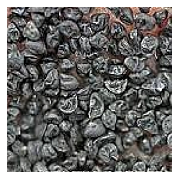 Leeks – Sprout Master