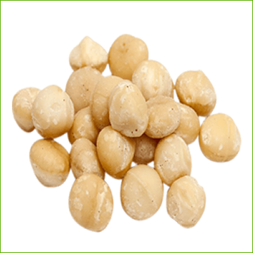 Macadamia nuts – Sprout Master