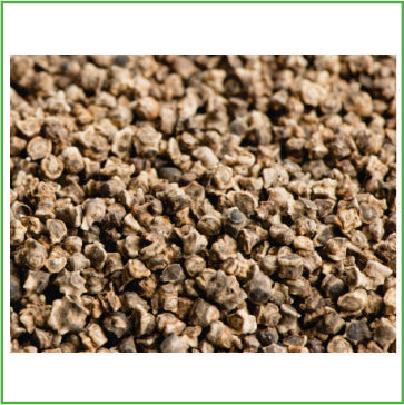 Beet, Ruby – Sprout Master