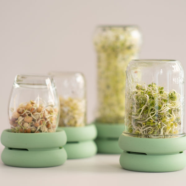 Seed Sprouting Lid Set Silicone, Sprout Hugger – Sprout Master