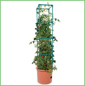 Tomato Barrel w/Tower -Heavy Duty – Sprout Master
