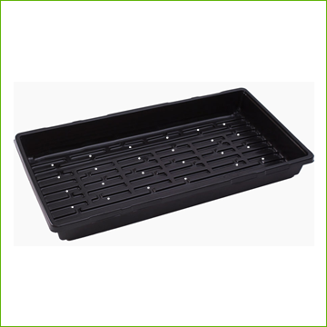 Sprouting Grow tray with holes – Sprout Master