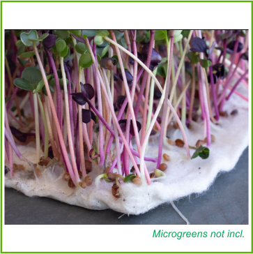 Microgreens Grow Mats, Premium Bamboo 10pk – Sprout Master