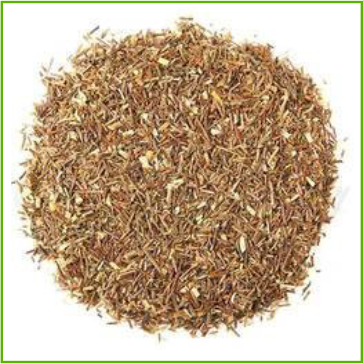Organic Green Rooibos tea – Sprout Master